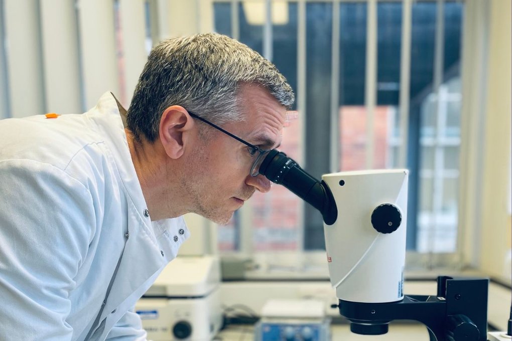 What is vulval cancer?