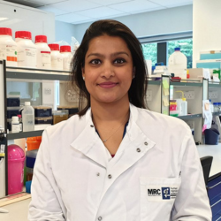 "Just a period" ambassador roundtable